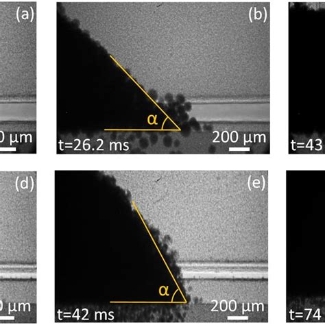 Dynamic X Ray Images Showing The Evolution Of Dynamic Repose Angle α Download Scientific