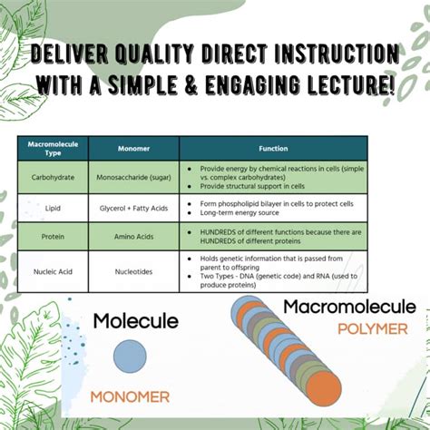 Biochemistry And Macromolecules Notes By Hoppen Into Science Tpt
