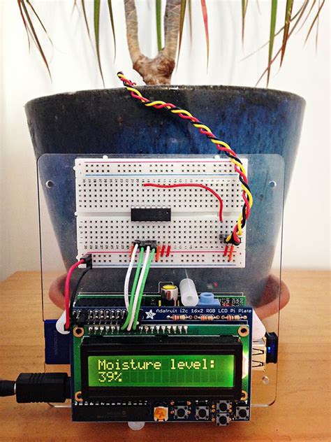 Build A Raspberry Pi Moisture Sensor To Monitor Your Plants Artofit