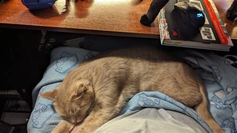 Musings From Mars On Tumblr