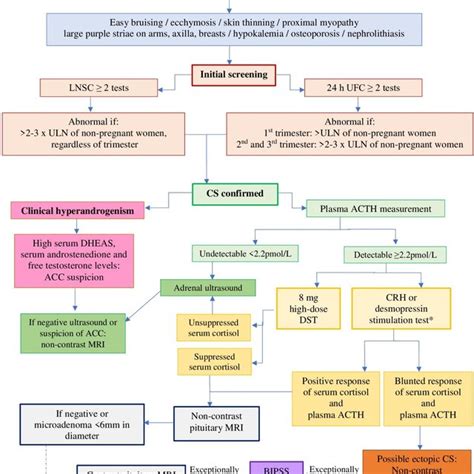 Endogenous Cushings Syndrome During Pregnancy Request Pdf