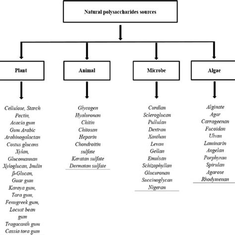 Pdf Polysaccharides Classification Chemical Properties And Future