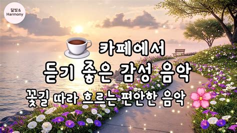 카페감성음악 카페에서 듣기 좋은 음악 바닷가 꽃길 따라 걷는 듯한 잔잔한 감성 Playlist 바람 따라 걷는 듯한 부드러운 카페 음악 Youtube