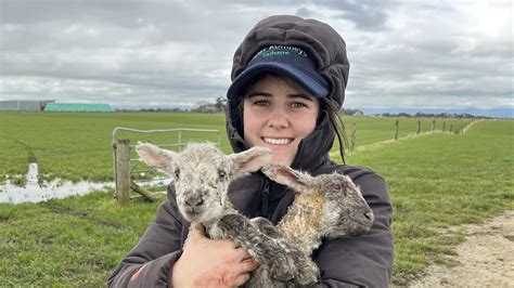 Sarah Fannin Joins Dannevirke Vet Services Champions Farmer Vet