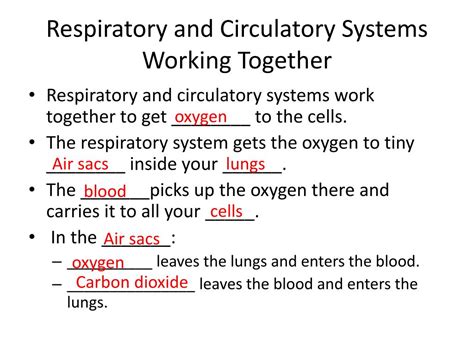 Ppt 5 Th Grade Chapter 3 Notes Continued Powerpoint Presentation Free Download Id 2485728