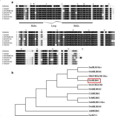 Sequence Alignment And Phylogenetic Tree Of The Homologues Genes Of