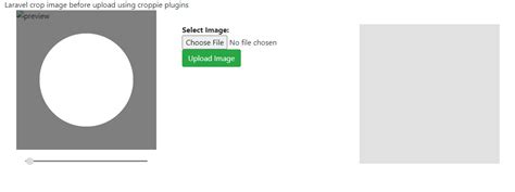 Laravel Crop Image Before Upload Shouts Dev