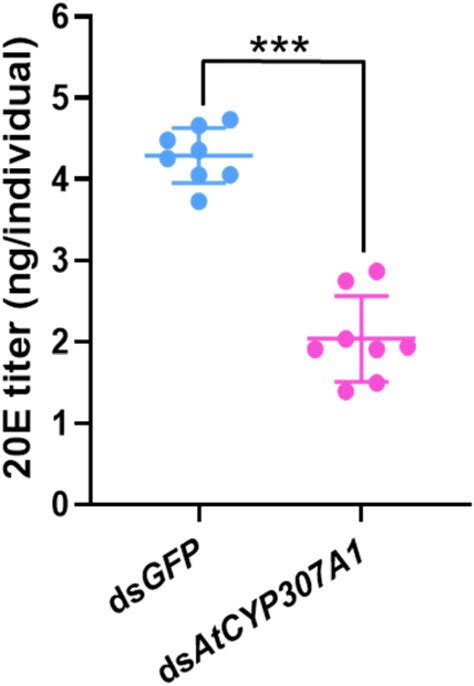 Determination Of The Correlation Between 20e Level And The Transcript Download Scientific