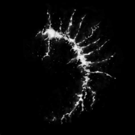 Create A Devourer S2 Tl Tier List Tiermaker