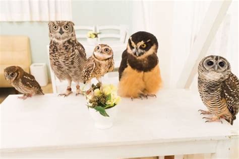 Weird Cafes From Around The World Engoo Daily News