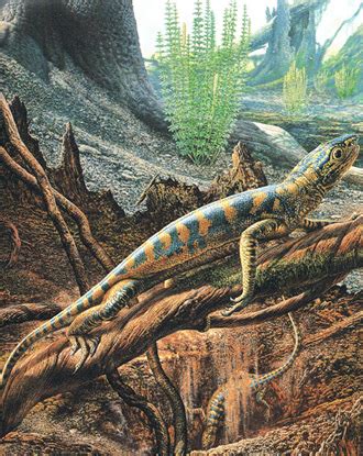 Oldest Reptile Fossil Returns To Nova Scotia