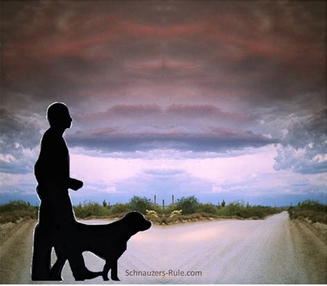 Will You See Your Dog In Heaven