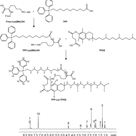 Scheme Graph Of The Structure Of Tpp Tpgstnlpns Abbreviations Tpp Download Scientific