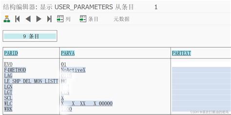 Sap Abap获取sap账号user Profile里的参数值abap系统参数获取 Csdn博客
