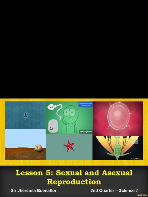 Week 5 Sexual And Asexual Reproduction Pdf Reproduction Sexual