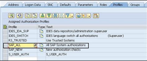 Sap Security System Authorization Concept