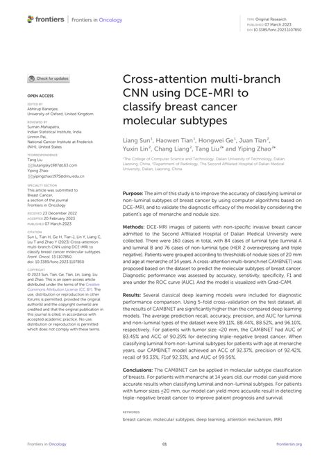 Pdf Cross Attention Multi Branch Cnn Using Dce Mri To Classify Breast
