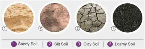 DIFFERENCE BETWEEN SAND SILT AND CLAY Agriculture Wale