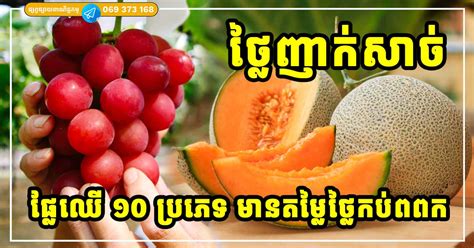 ញាក់សាច់ ផ្លែឈើ ១០ ប្រភេទ មានតម្លៃថ្លៃកប់ពពក មានលុយ រកទិញមិនចង់បានទៀត Knongsrok