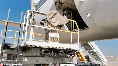 Did You Know How Airport Staff Offload A Uld Unit Loading Device Cover