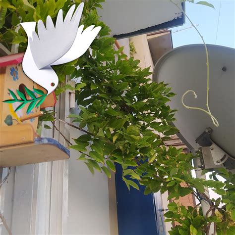 საქართველოს თავდაცვის სამინისტრო Ministry Of Defence Of Georgia ქართული არტილერიის პროფესიულ