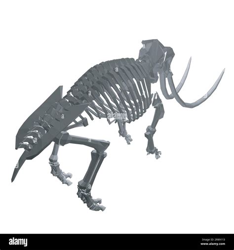Vector Illustration Of Polygonal Mammoth Skeleton On Isolated White