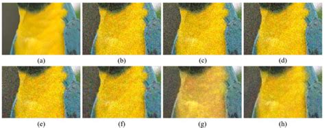 sensors special issue digital imaging with multispectral filter