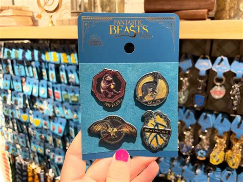 New Fantastic Beasts And Harry Potter Pins Keychains And Magnets Appear At Universal