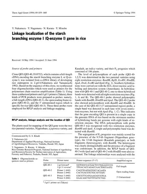 Pdf Linkage Localization Of The Starch Branching Enzyme I Q Enzyme I Gene In Rice