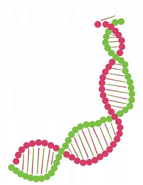 Entangled Ethics The Questions Raised By Dna Testing El Estoque