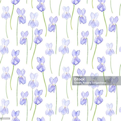 흰색 배경에 나무 보라색 꽃 원활한 패턴 수채화 손 그리기 그림 비올라 오도라타 디자인 개화기에 대한 스톡 벡터 아트 및 기타 이미지 Istock