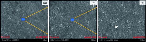 Sem Micrographs Of Coated Specimens 60 000 Ppm Post Exposure To Download Scientific Diagram