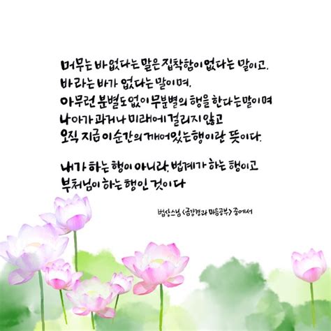 법상 스님 중에서 법상스님글모음