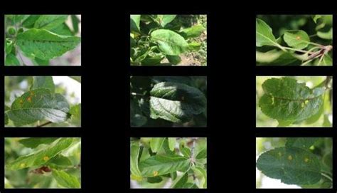 Sample Of Training Data Download Scientific Diagram