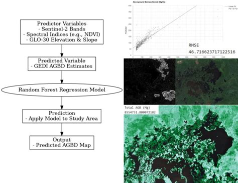 Nasas Global Ecosystem Dynamics Investigation Gedi Mission Uses Lidar Technology To Measure