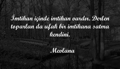 Script Mt Bold Font Font Tr