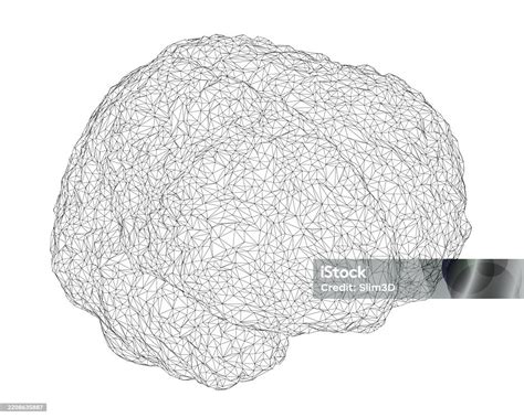 뇌는 흑백 그림으로 표시됩니다 뇌는 많은 작은 점과 선으로 매우 상세한 방식으로 표시됩니다 복잡성과 복잡함의 개념 개념에 대한
