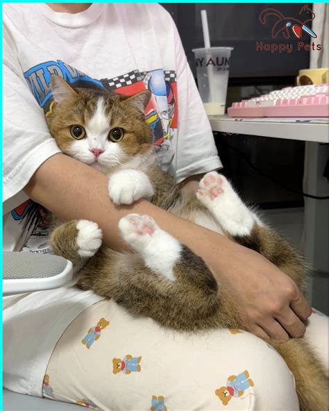 Joan Parrish Veasey Facebook