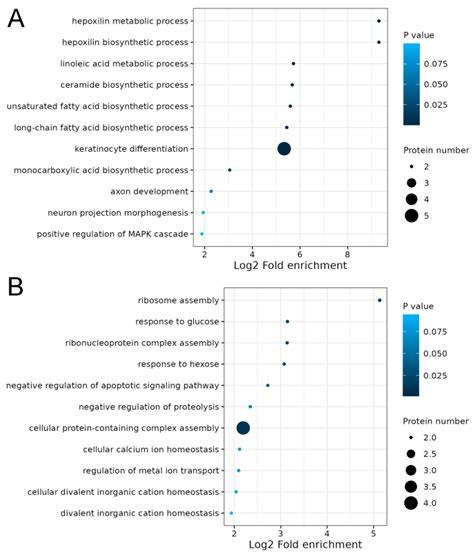 Ijms Free Full Text Integration Analysis Of Hair Follicle
