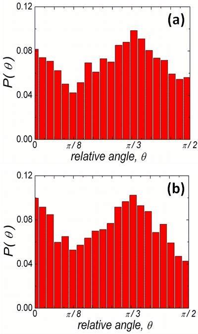 Relative Angle Probability Distribution Functions Between Neighboring