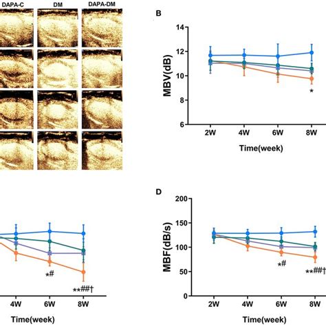 Myocardial Perfusion Assessed By Mce A Representative Mce Based Download Scientific Diagram