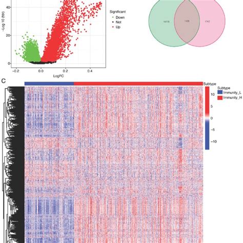 Classification Immune Landscape Of High And Low Immunity Groups In