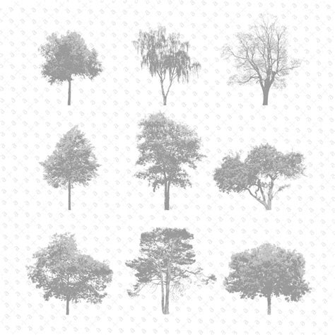 Archade In 2025 Tree Photoshop Architectural Trees Architecture Collage