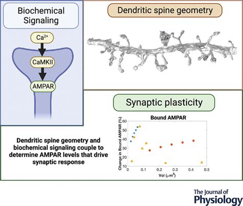 computational neuroscience the journal of physiology vol 601 no 15