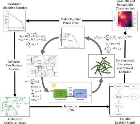 Multiscale Multiobjective Systems Analysis Mimosa An Advanced