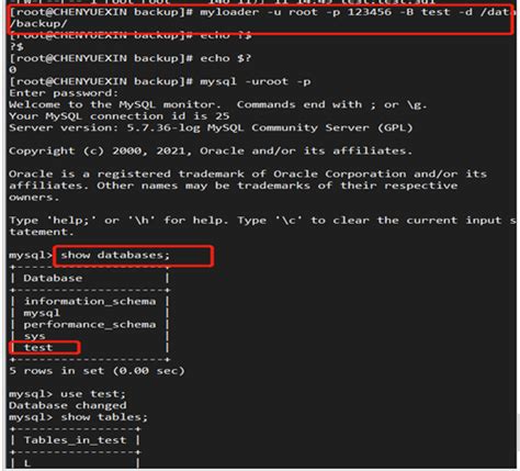 mysql备份之mydumper工具使用详解 头发重要 博客园