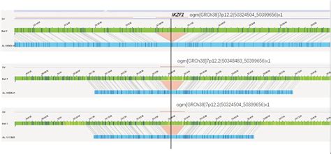 Figure 1 From Optical Genome Mapping For Comprehensive Assessment Of