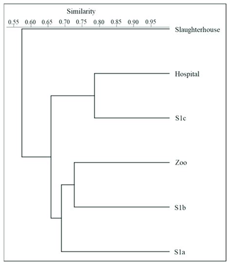 Bray Curtis Distance Constructed By Past Software For Clustering Of Download Scientific Diagram