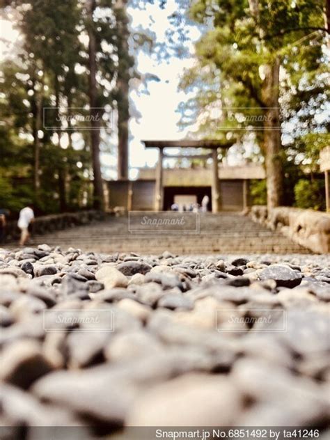 岩の上に立つカモメの群れの写真・画像素材 6851492 Snapmart（スナップマート）