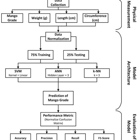 The Example Of The K Nn Structure Download Scientific Diagram